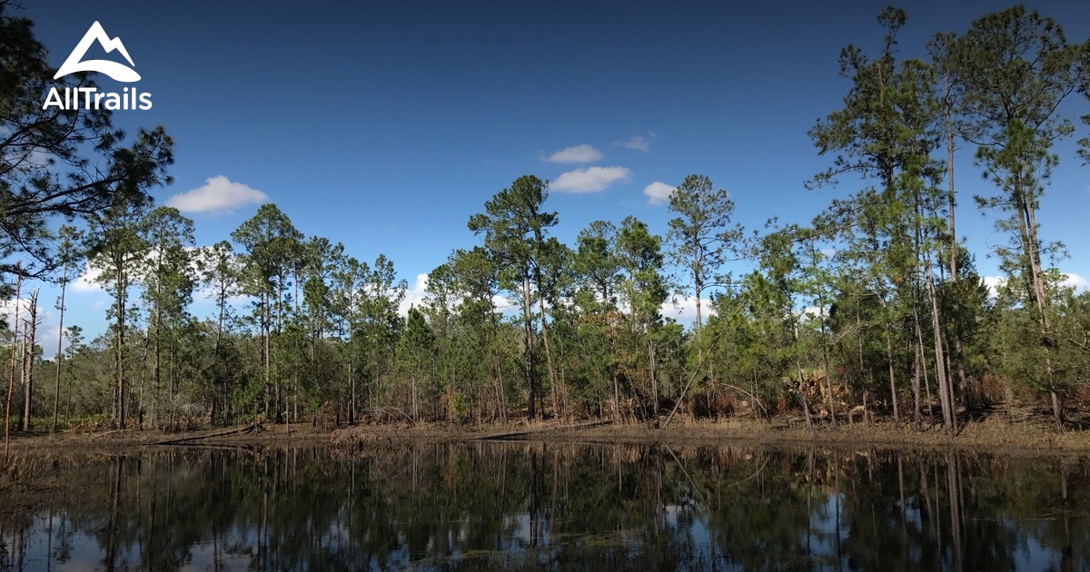 Best hikes and trails in Mid Florida | AllTrails