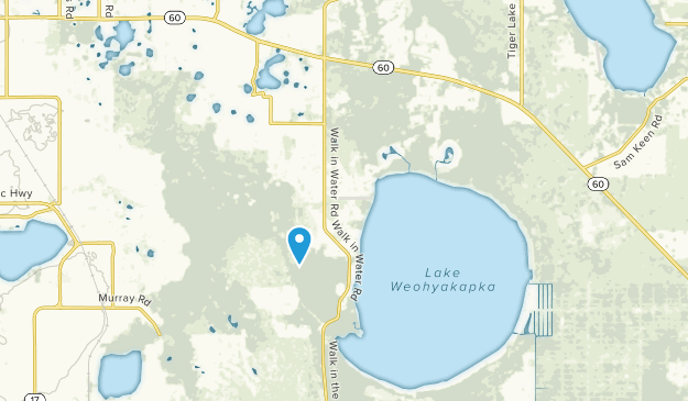 Best Trails near Nalcrest, Florida | AllTrails