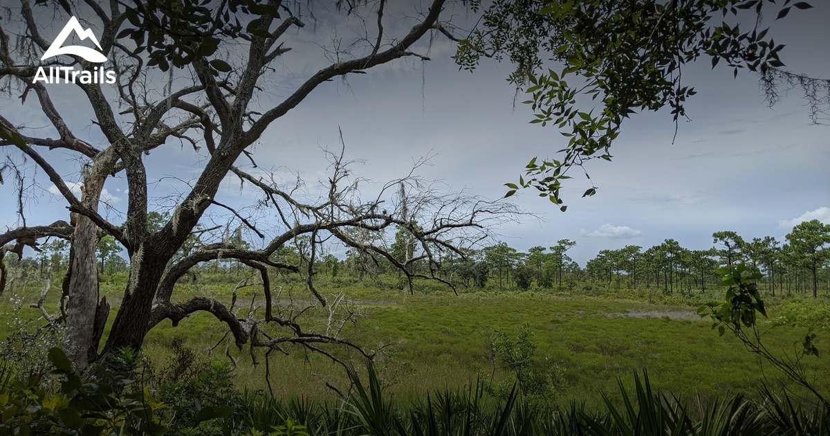 Best hikes and trails in Nalcrest | AllTrails