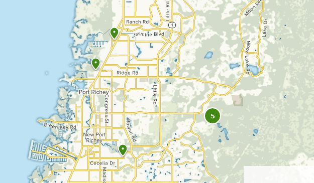 Best Trails near New Port Richey, Florida | AllTrails