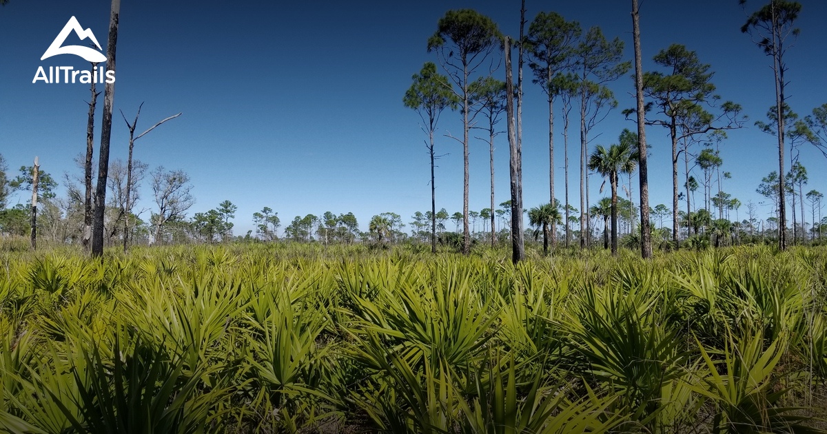 Best beach trails in Ochopee | AllTrails