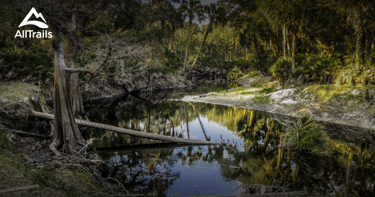 Best Trails near Oviedo, Florida | AllTrails