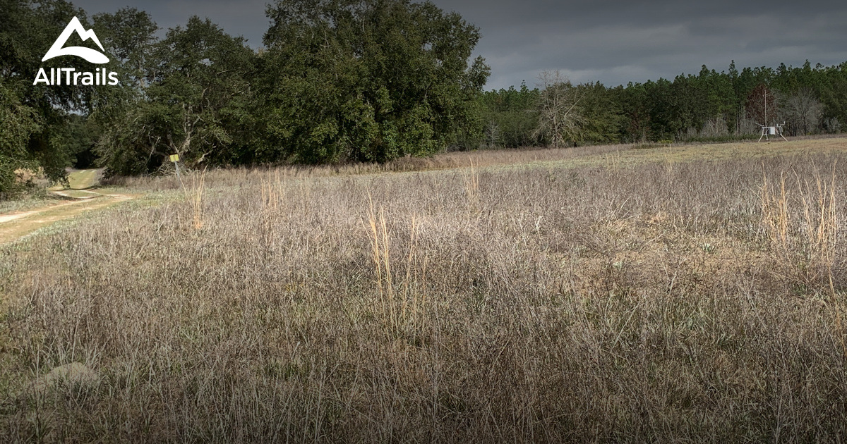 Best forest trails in Panacea | AllTrails