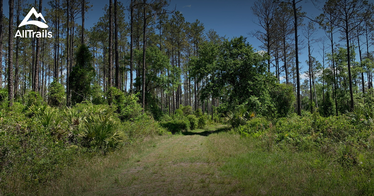 Best lake trails in Pierson | AllTrails