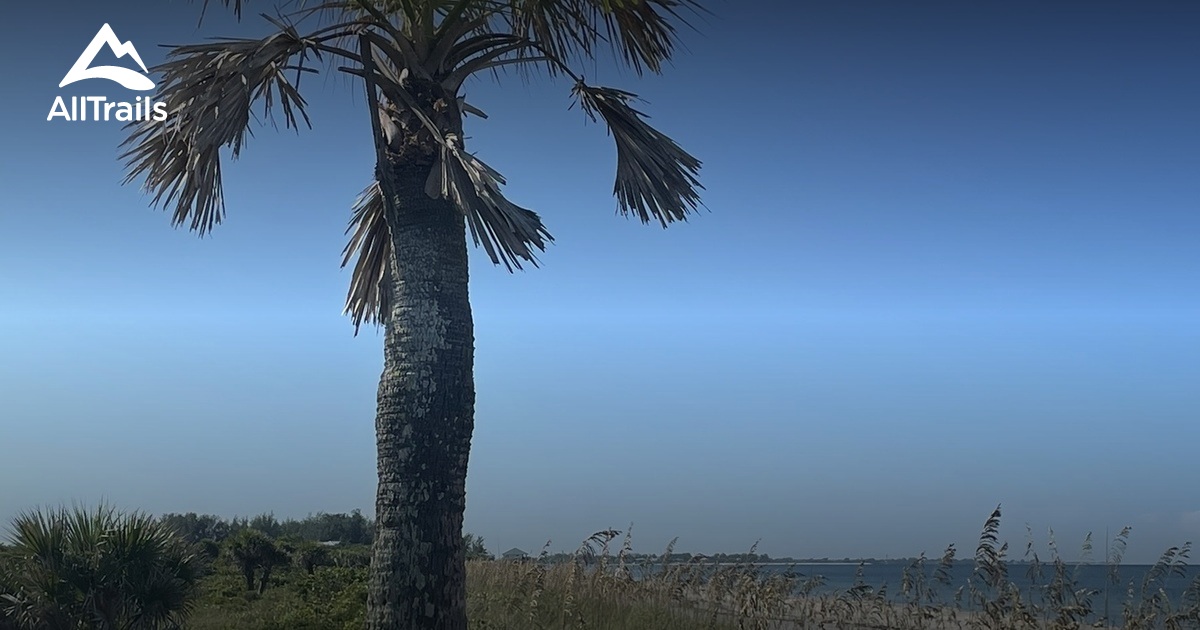 Best hikes and trails in Placida | AllTrails