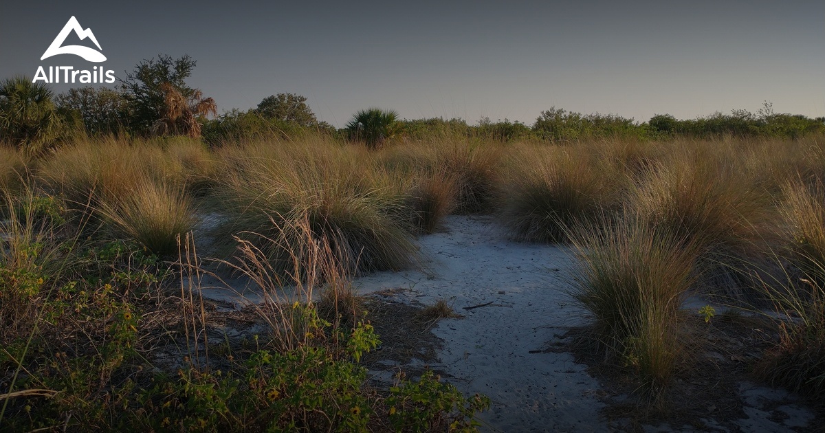 Best hikes and trails in Rocky Point | AllTrails