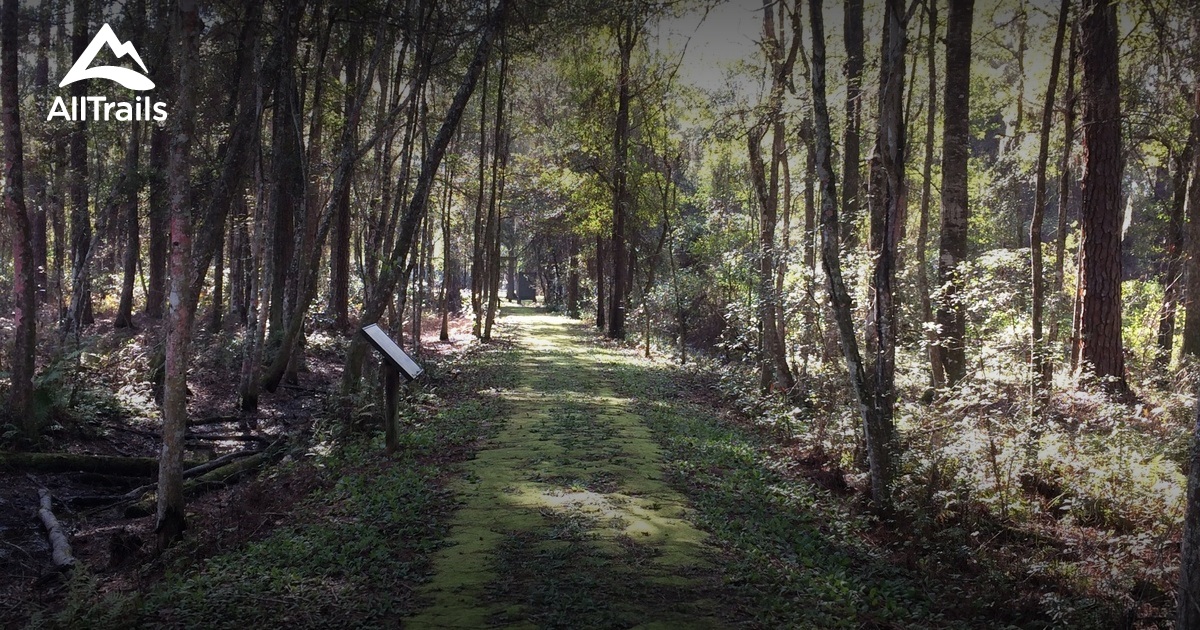 Best Trails near Sanderson - Florida | Photos & Reviews | AllTrails