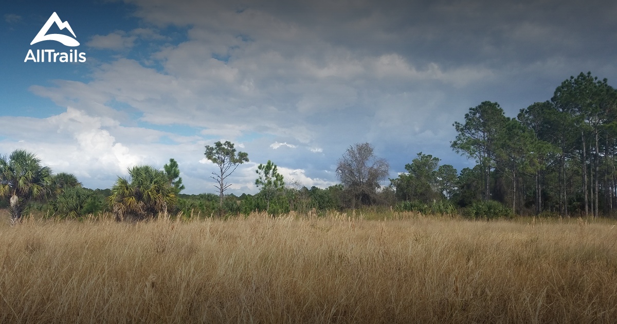 Best forest trails in Spring Hill | AllTrails