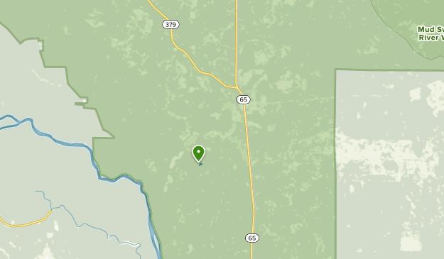 Best Trails near Sumatra, Florida | AllTrails