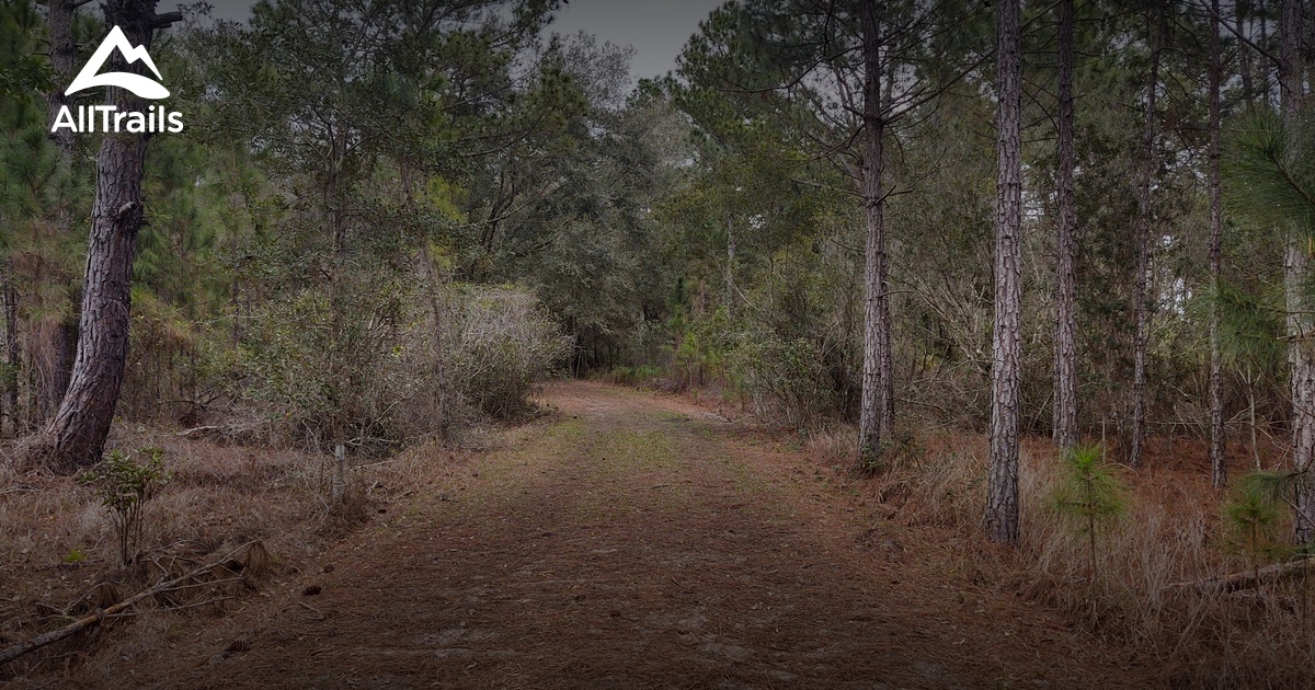 Best hikes and trails in Umatilla | AllTrails