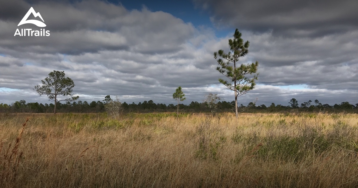 Best hikes and trails in Venus | AllTrails