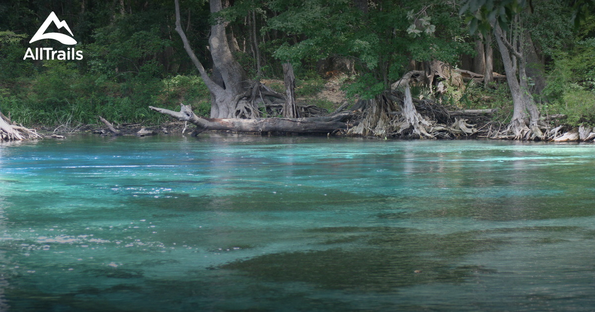 Best Trails near Vernon, Florida | AllTrails