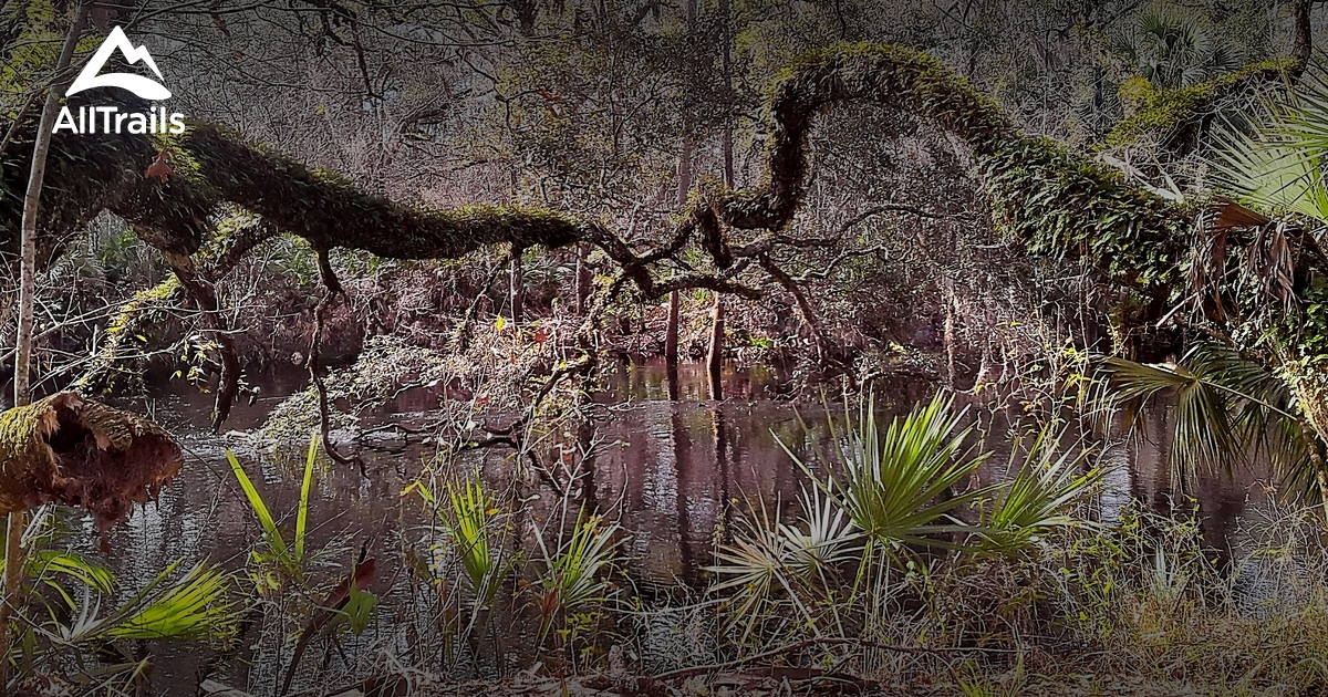 Best hikes and trails in Wacissa | AllTrails