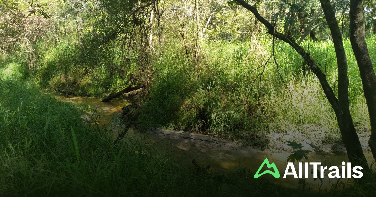 Best hikes and trails in Wauchula | AllTrails