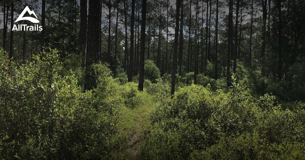 Best hikes and trails in Webster | AllTrails