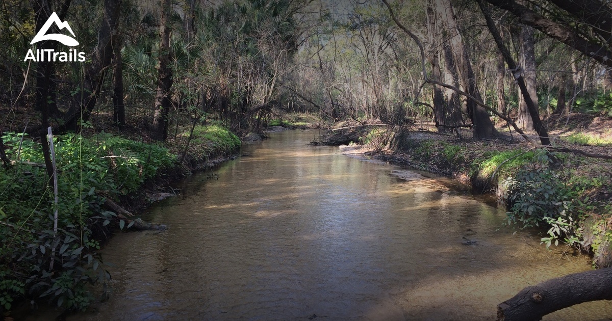 Best river trails in Wimauma | AllTrails