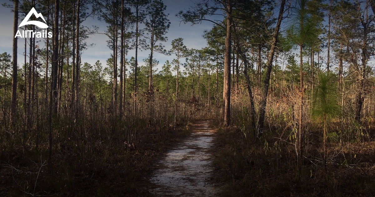 Best walking trails in Woodville | AllTrails