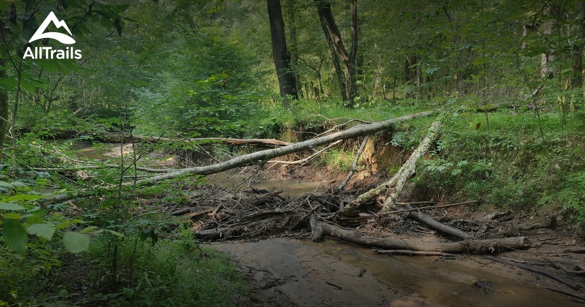 Best hikes and trails in Appling | AllTrails