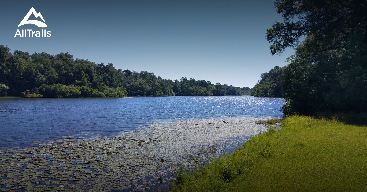 Best hikes and trails in Bluffton | AllTrails