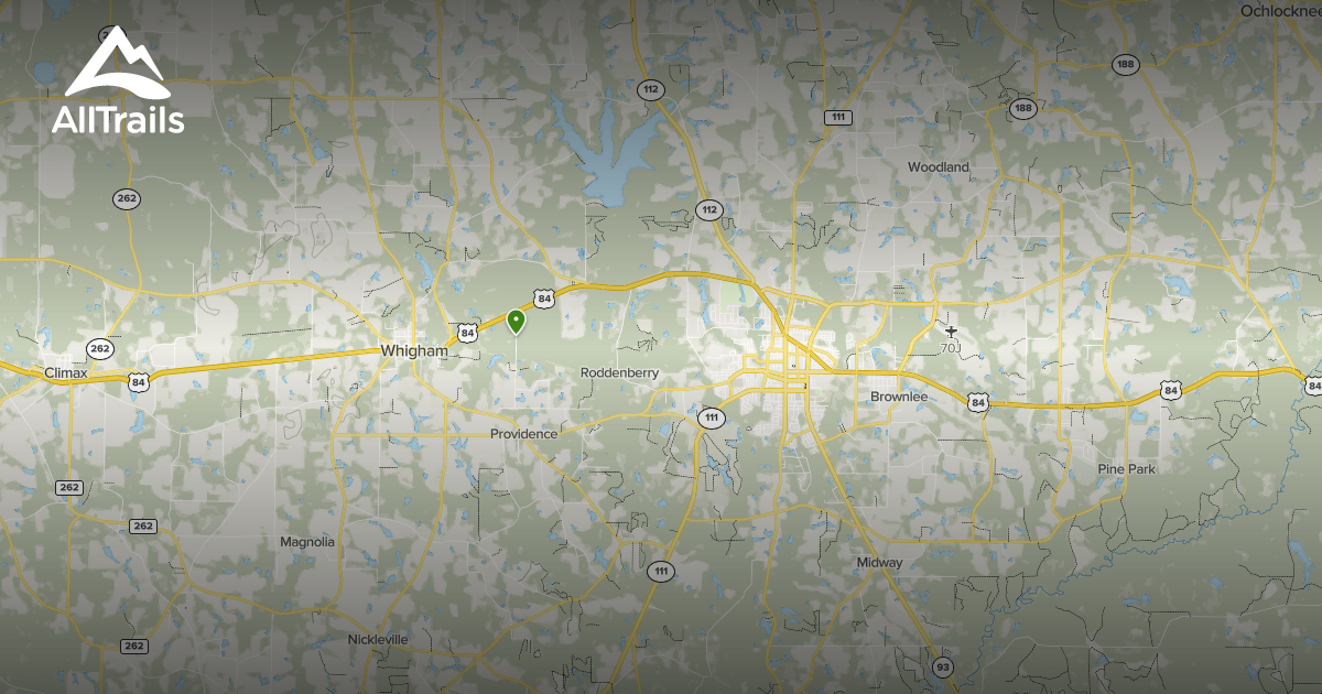 Best hikes and trails in Cairo | AllTrails