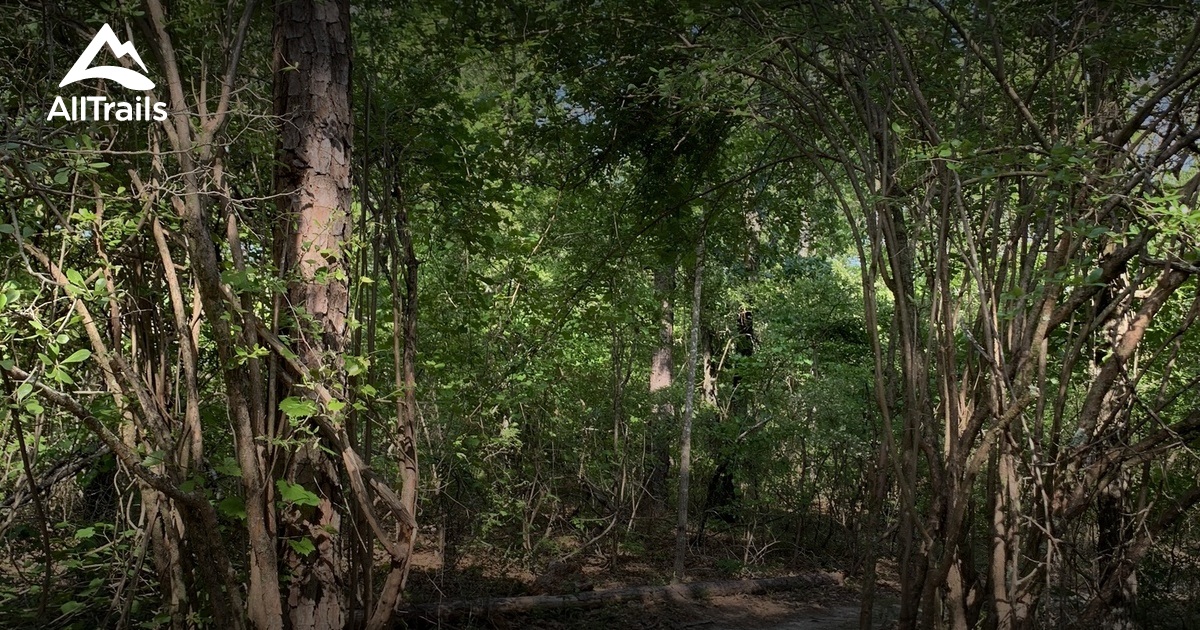 Best hikes and trails in Centerville | AllTrails