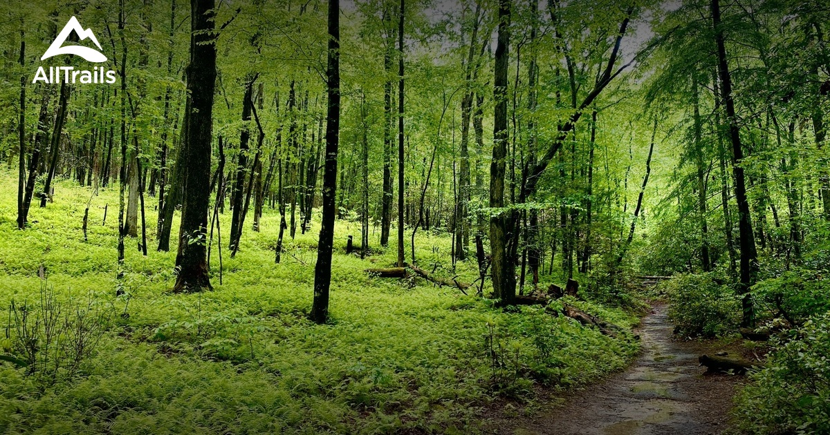 Best hikes and trails in Clarkesville | AllTrails