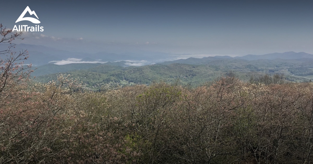 10 Best trails and hikes in Dillard | AllTrails