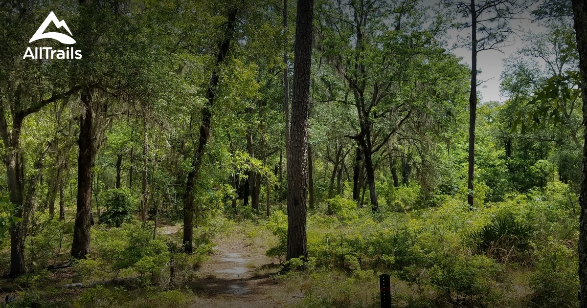 Best hikes and trails in Douglas | AllTrails