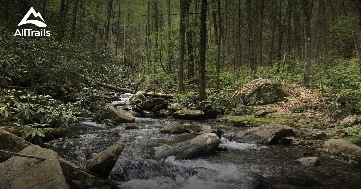 Best forest trails in Eton | AllTrails