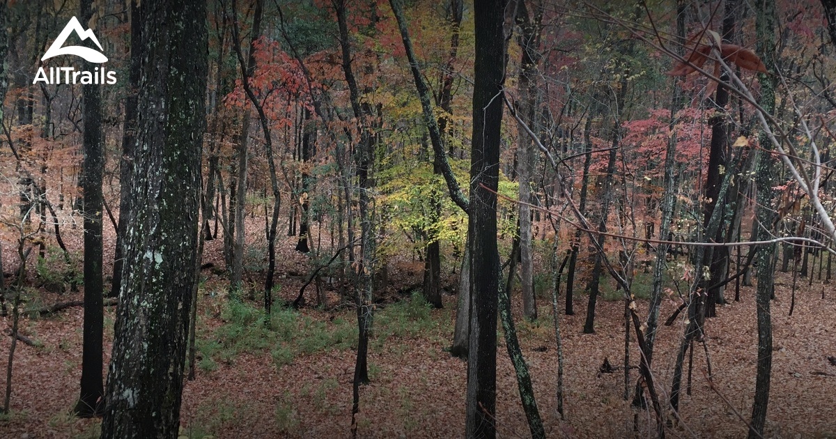 Best hikes and trails in Hamilton | AllTrails