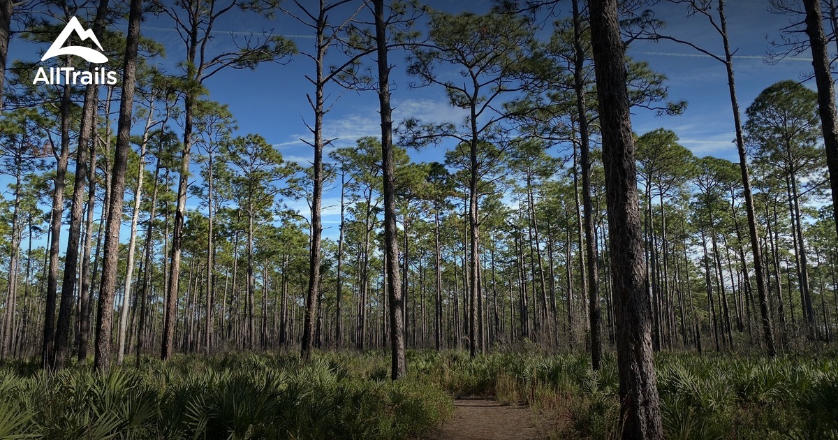 Best hikes and trails in Kings Bay | AllTrails