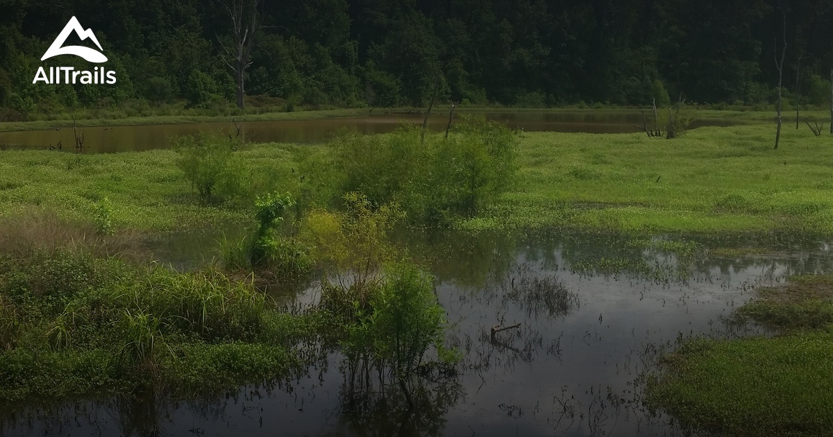 Best Trails near Macon, Georgia | AllTrails