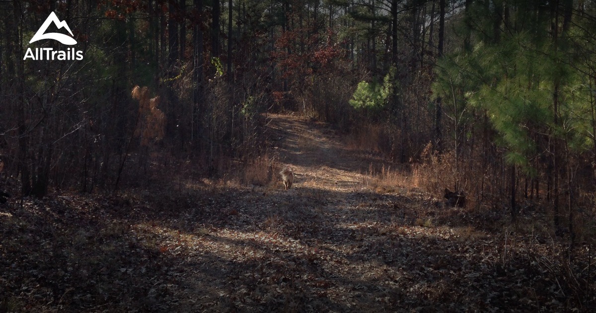Best river trails in Monticello | AllTrails