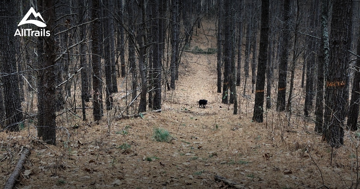 Best waterfall trails in Mount Airy | AllTrails