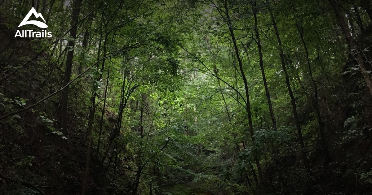 Best hikes and trails in Rockmart | AllTrails