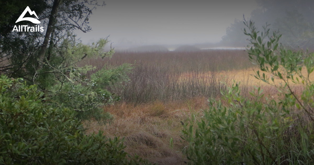 Best wildlife trails in Sapelo Island | AllTrails