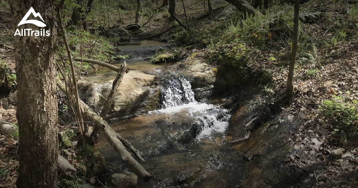 Best hikes and trails in Sargent | AllTrails