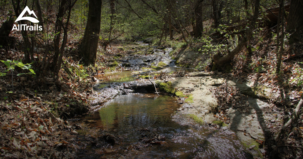 Best hikes and trails in Social Circle | AllTrails