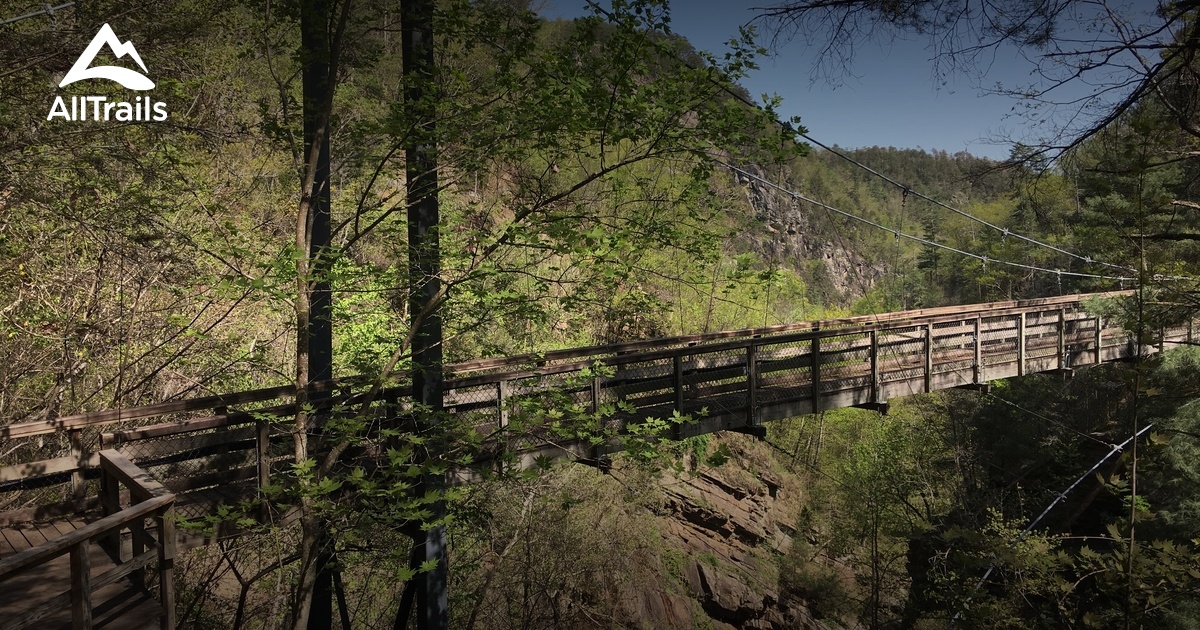 Best Trails near Tallulah Falls, Georgia | AllTrails