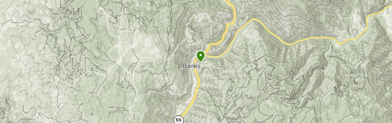 Best Hikes and Trails in Banks | AllTrails