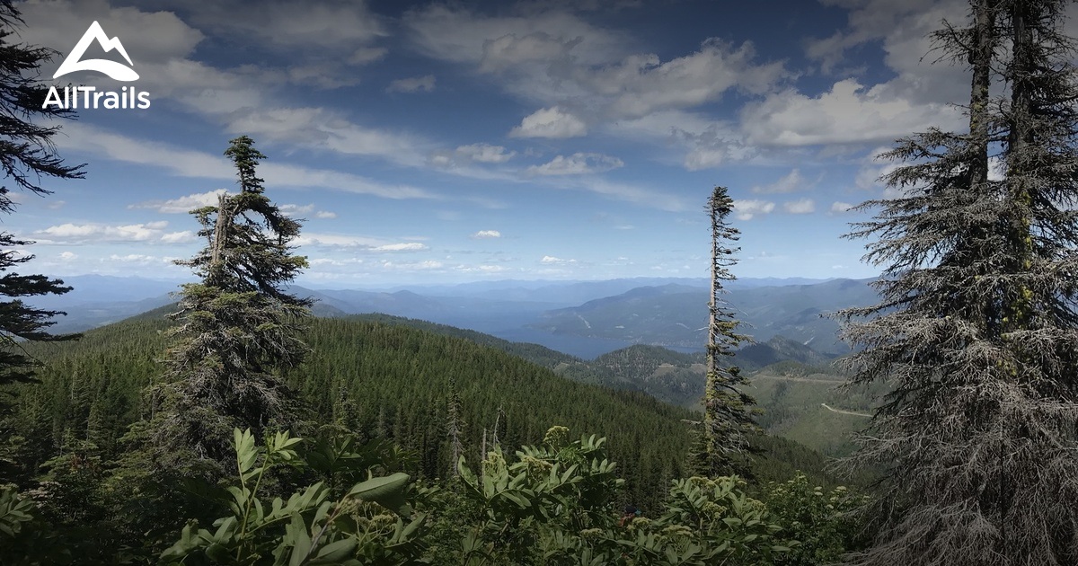 10 Best trails and hikes in Bayview | AllTrails