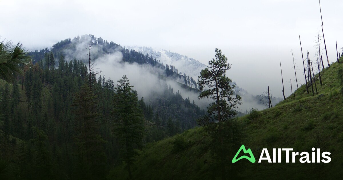 Best backpacking trails in Dixie | AllTrails