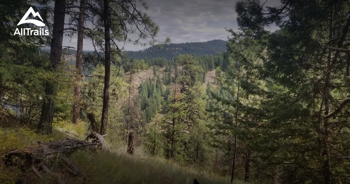 Best trails in Harrison, Idaho | AllTrails