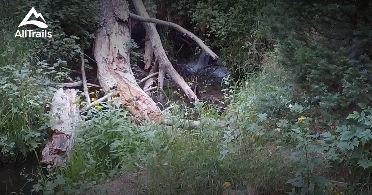 Best forest trails in Inkom | AllTrails