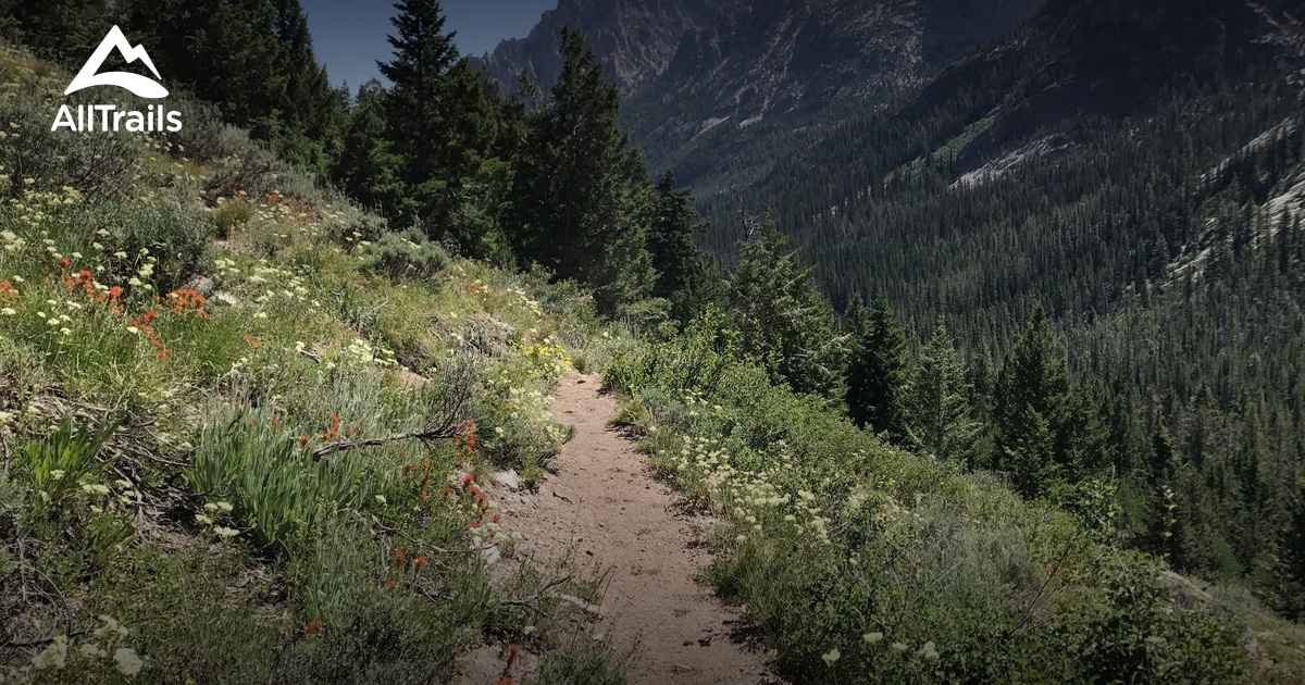 Best Trails near Lowman, Idaho | AllTrails