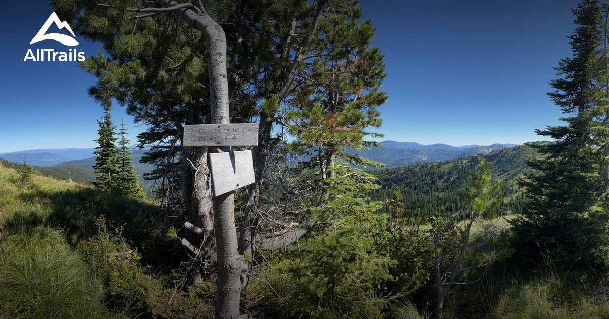 Best forest trails in Naples | AllTrails