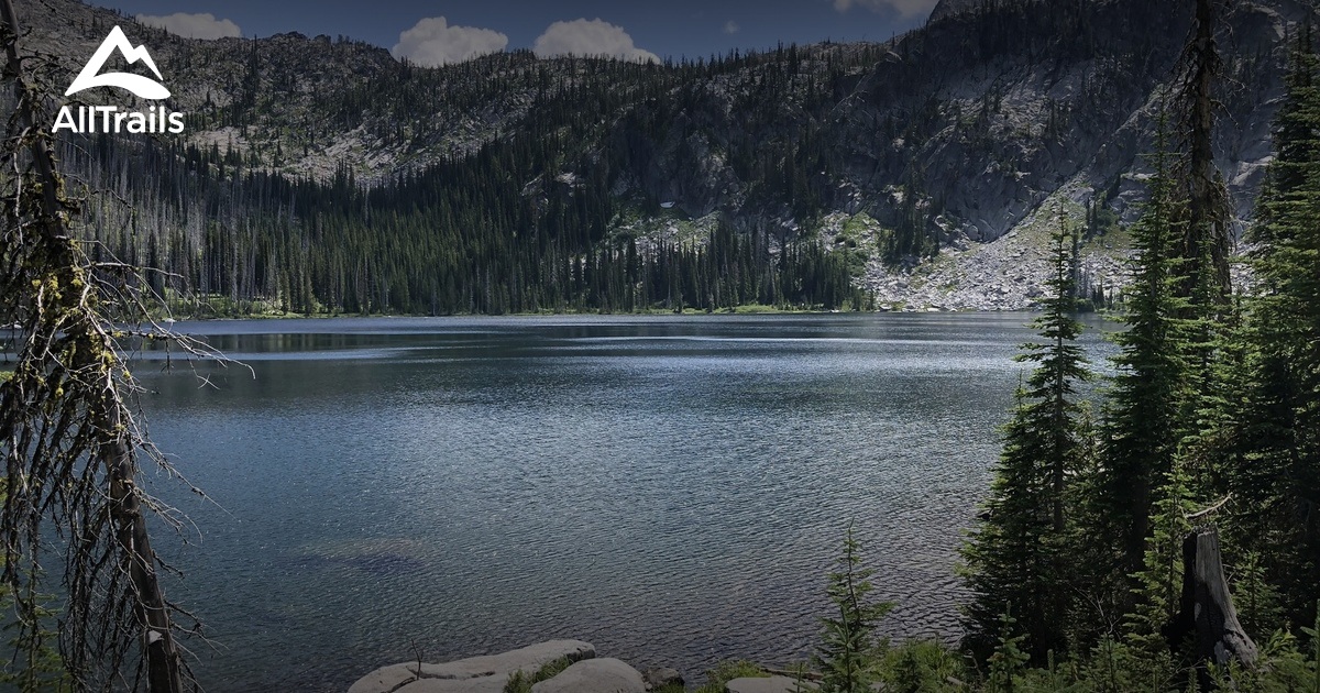 Best forest trails in Pollock | AllTrails