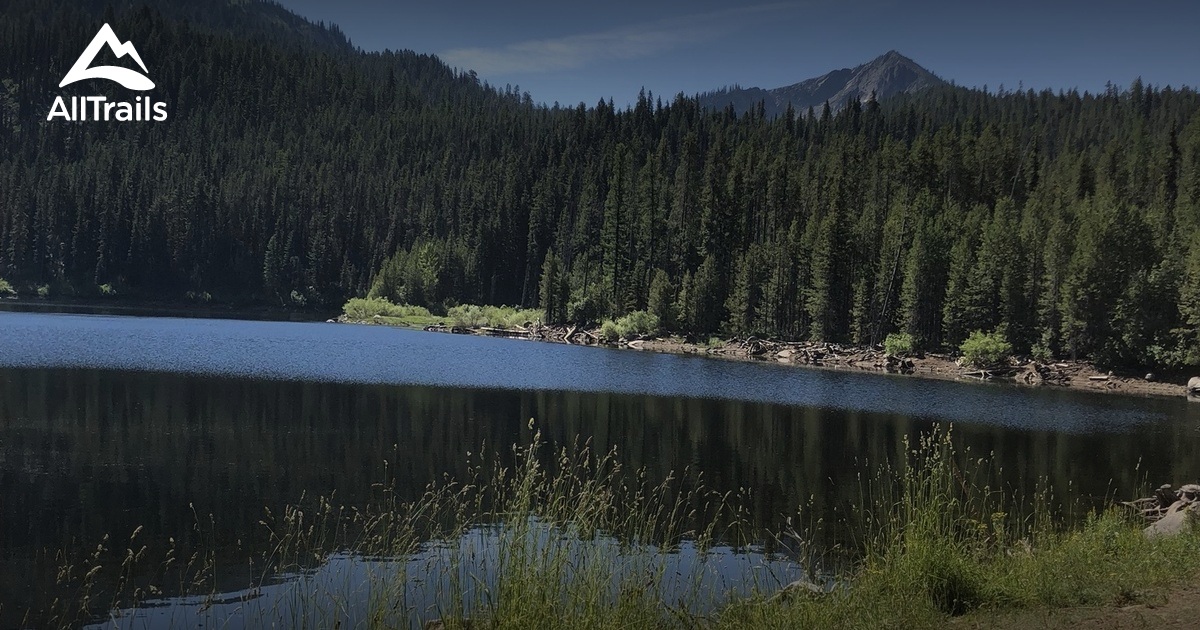 Best forest trails in Spink | AllTrails