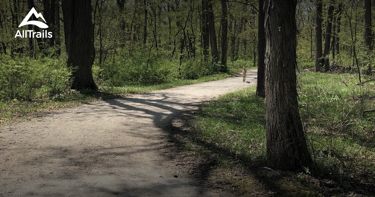 Best hikes and trails in Beecher | AllTrails