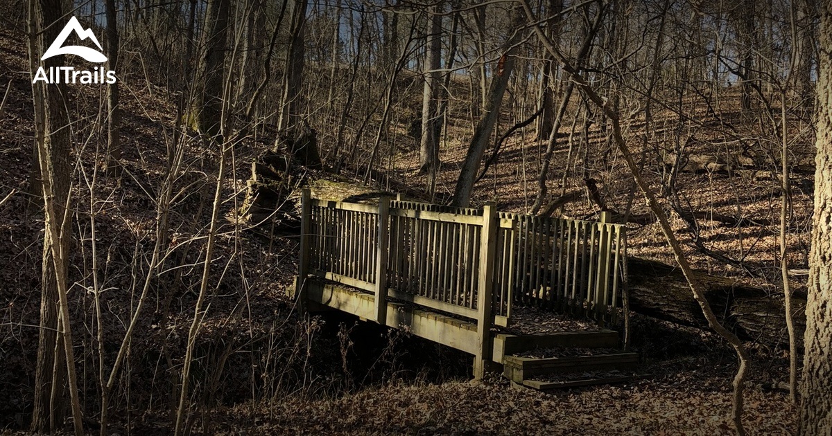 Best hikes and trails in Chester | AllTrails